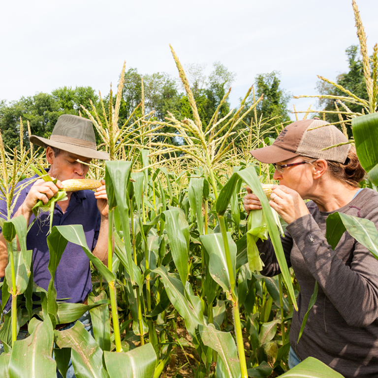 Monadnock Food Co-op | Local Groceries in Keene, NH