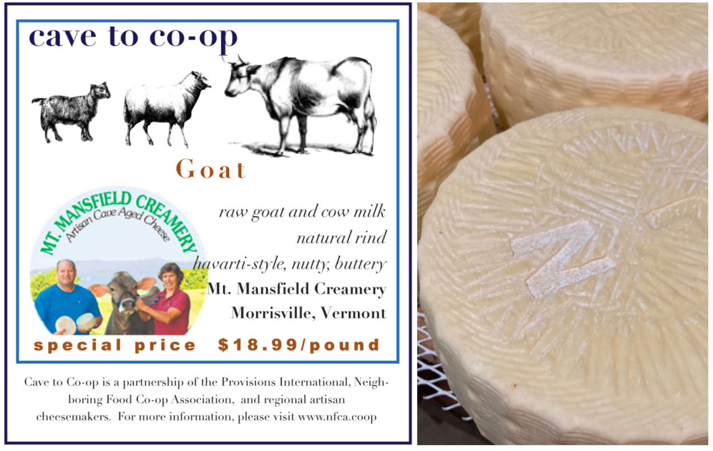 MAY 2024 Cave to Co-op: Goat Cheese from Mt. Mansfield Creamery ...