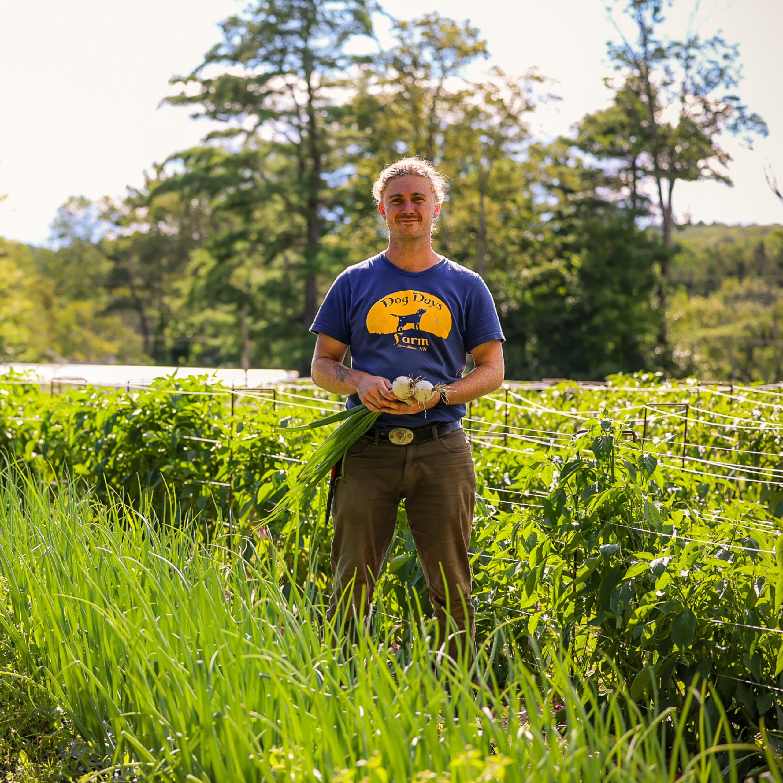 Meet The Locals At The Dog Days Farm In Fitzwilliam, NH