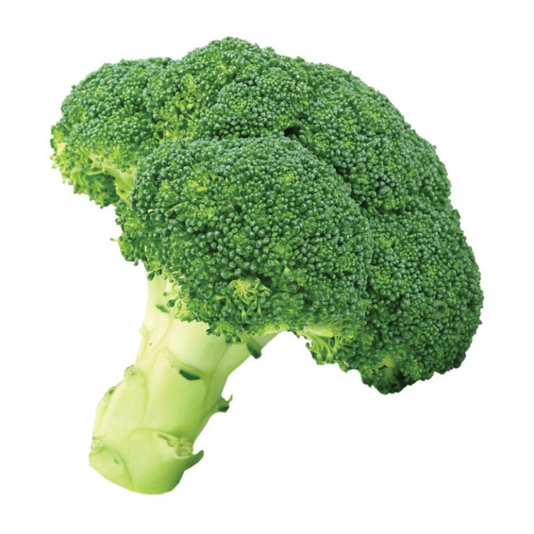 Healthy Grocery Store in Keene, NH - Organic Food Store